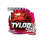 Steam Community Market :: Listings for Sticker | TYLOO (Foil) | 2020 RMR