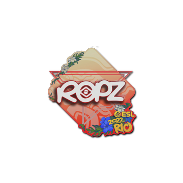 Steam Community Market :: Listings for Sticker | ropz | Rio 2022