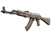 Buy CS:GO/CS2 AK-47 Rifle Skins - Skinport