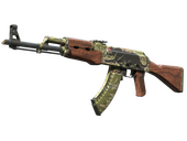 AK-47 | Inheritance (Field-Tested) - Counter-Strike 2 - Skinport
