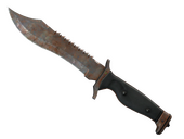 Buy CS:GO/CS2 Bowie Knife Knife Skins - Skinport