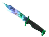 StatTrak™ Bowie Knife | Gamma Doppler (Factory New) - Counter-Strike 2 ...