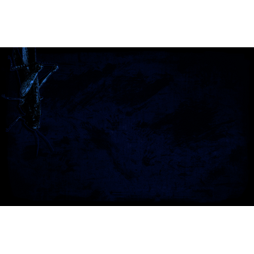 Steam Community Market :: Listings for 349140-The Blue Locust